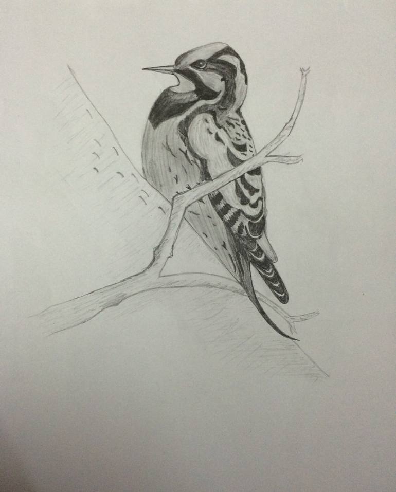 Presenting from air to paper Drawing by Payal Pathak | Saatchi Art