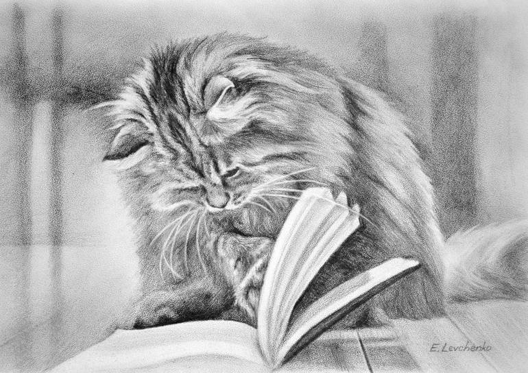 Cat is reading! Drawing by Ekaterina Levchenko | Saatchi Art