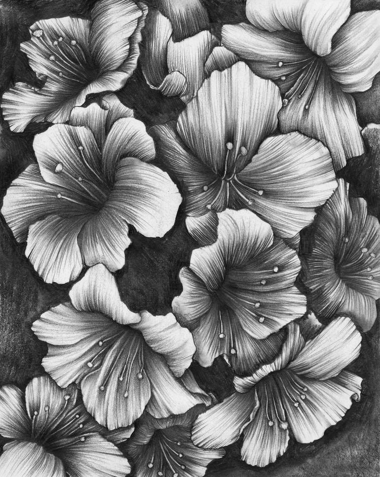 Rhododendron Drawing