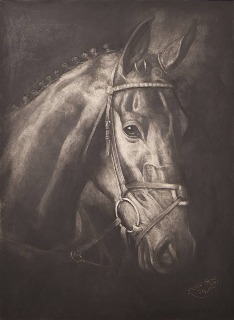 Sprinter Sacre Drawing by Paddy Lennon | Saatchi Art
