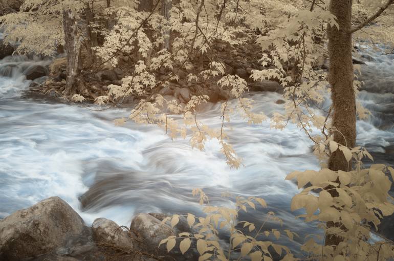 Leaves Over Gossamer Waters Photography by Steven Greenbaum | Saatchi Art