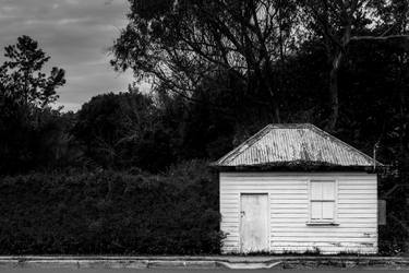Megan Rizzo Artworks | Saatchi Art