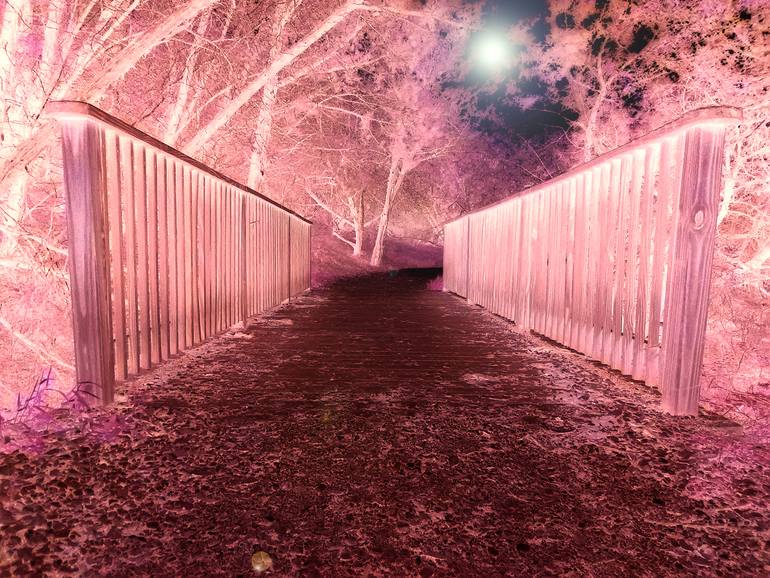 Alien Bridge Mixed Media by Billy Mitchell | Saatchi Art