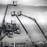 Technical Spiders Photography by Dan Cristian Lavric | Saatchi Art
