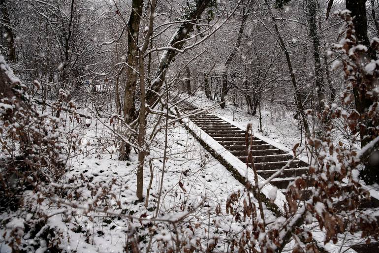 Frozen Pathways. Photography by Dan Cristian Lavric | Saatchi Art
