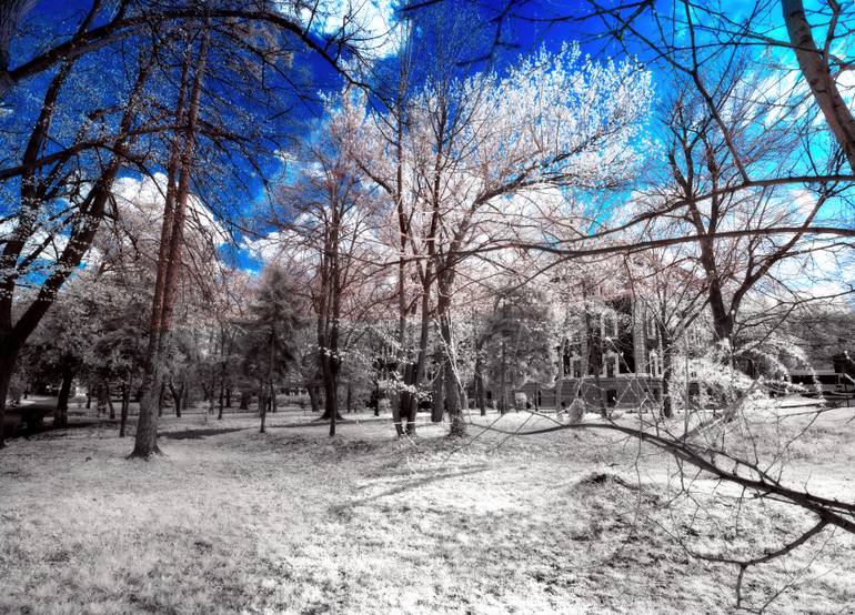 Blue White Day Photography by Dan Cristian Lavric | Saatchi Art United ...
