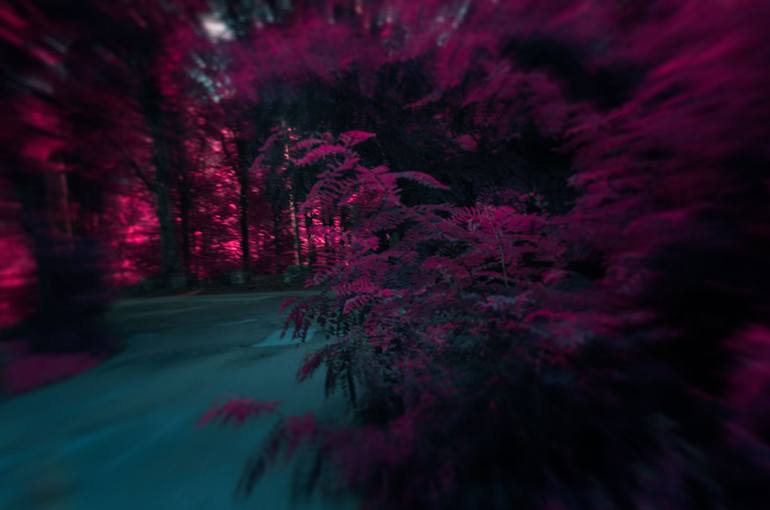 Infrared Forest Photography by Dan Cristian Lavric | Saatchi Art