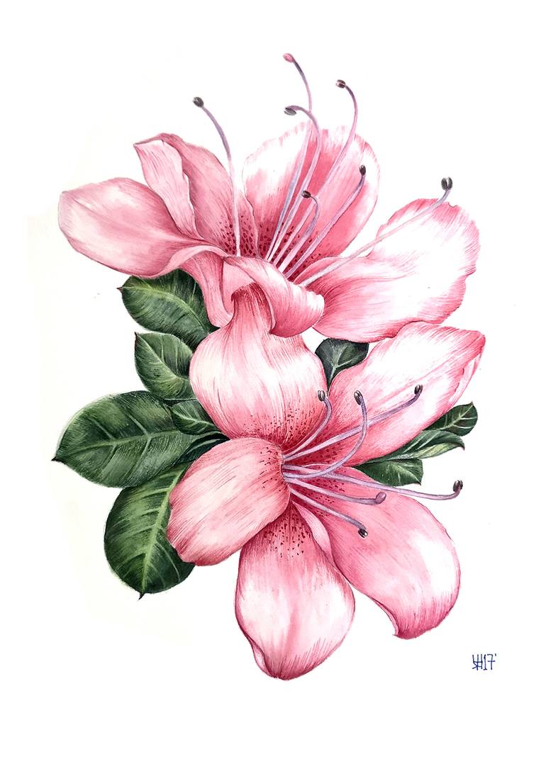 Azalea, rhododendron Painting by Yevgeniya Nyrkova Kizilkaya | Saatchi Art