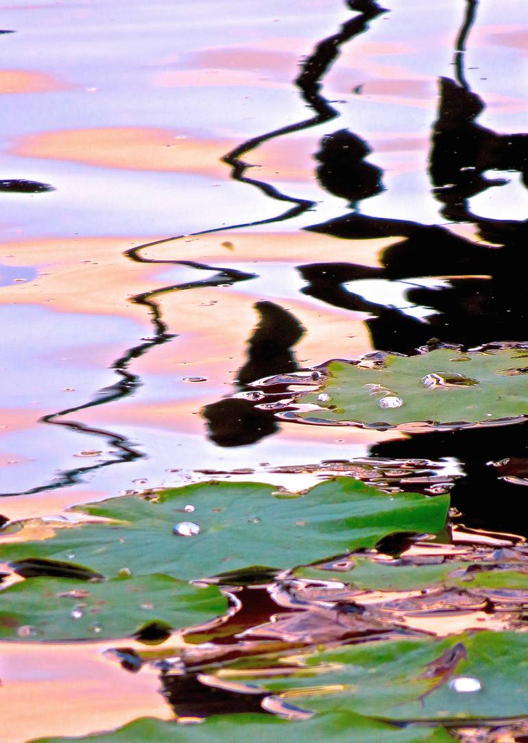 Central Park 5 - bethesda Fountain Water Reflections 100 - Limited ...