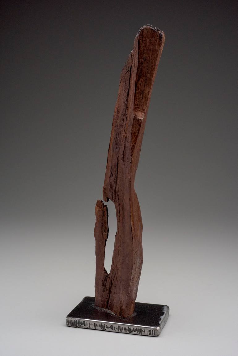 Bois d'arc #3 Sculpture by Curtis Frederick | Saatchi Art