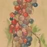 The Grapes.... Painting by sandy pickert | Saatchi Art