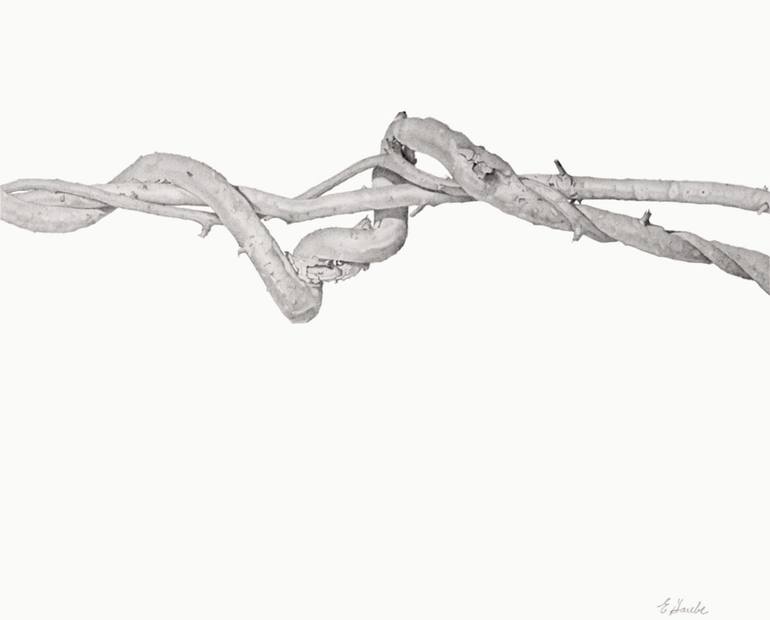 Aesclepius Unbound Drawing by Ellen Gaube | Saatchi Art