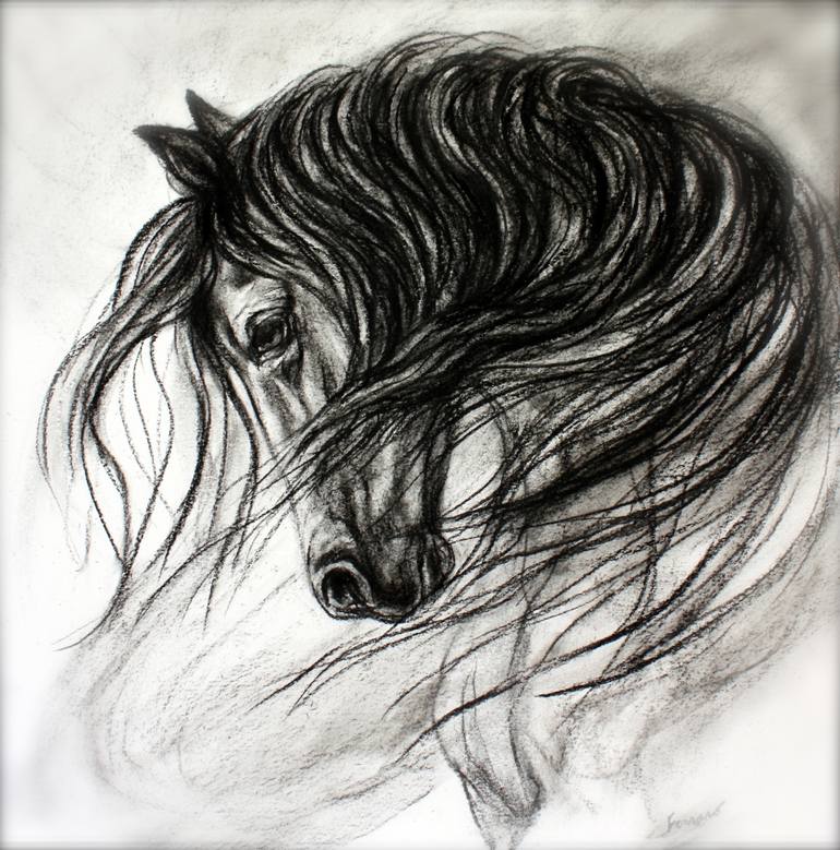 Mane Dance Drawing by Janet Ferraro | Saatchi Art