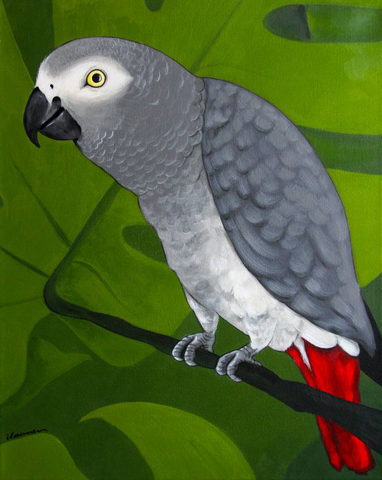 African Gray Parrot Painting by Ilaamen Pelshaw | Saatchi Art