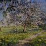 spring orchard Painting by Beata Szwed | Saatchi Art