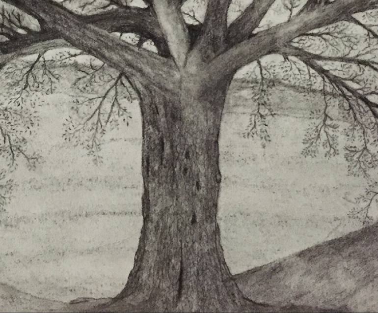 Glorious Greys / Endurance Drawing by Renu Sachdeva | Saatchi Art