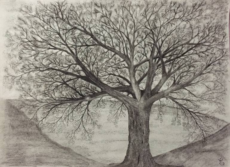 Glorious Greys / Endurance Drawing by Renu Sachdeva | Saatchi Art