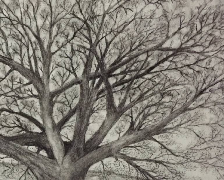 Glorious Greys / Endurance Drawing by Renu Sachdeva | Saatchi Art