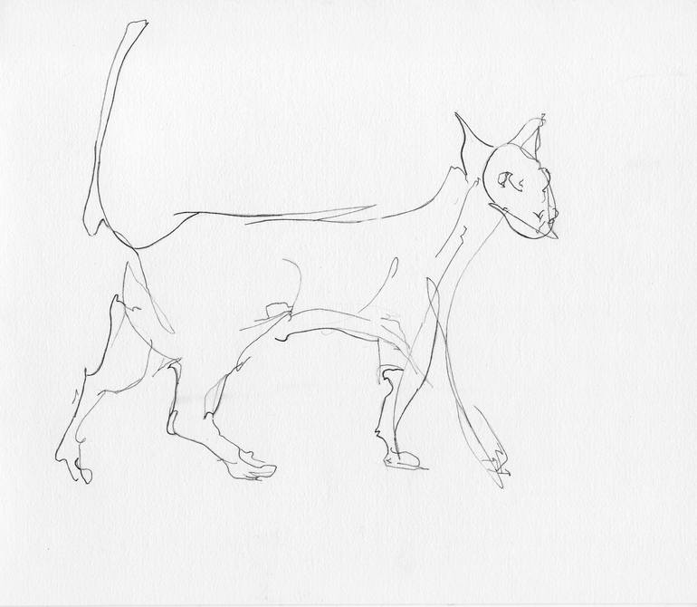 'Cat in dream...not to be overlooked' Drawing by Geraldine Walsh ...