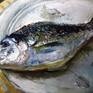 Sea Bream Painting by L Mibianco | Saatchi Art