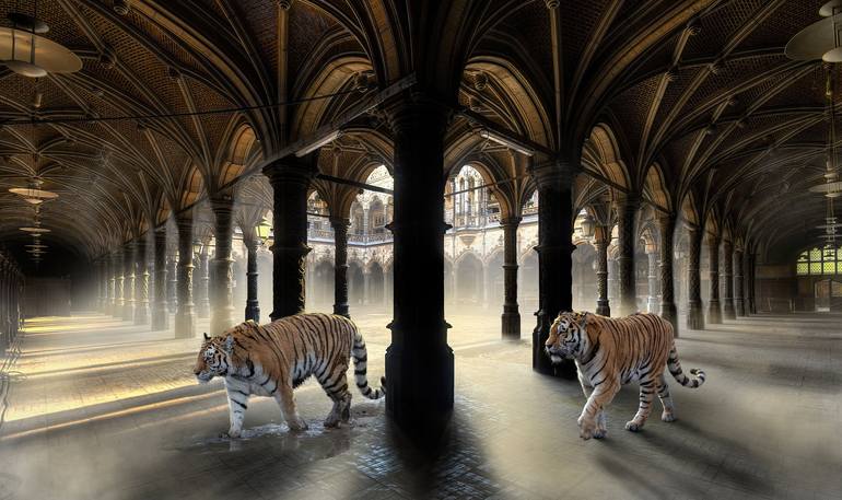 Earn Your Stripes - Limited Edition of 7/1AP Photography by Cheraine ...