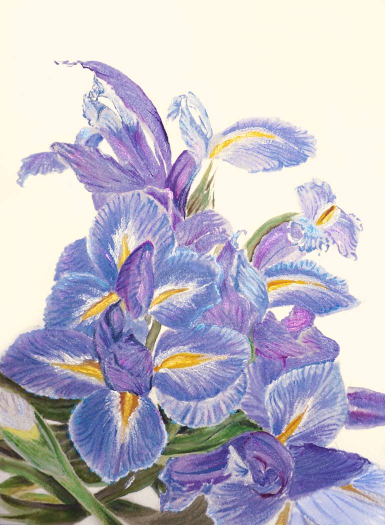 Iris Flowers Painting by Eva Nev | Saatchi Art