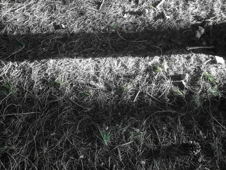 SPRING/SUMMER #22 EDITION OF 10 Photography by MASSIMO VARANO | Saatchi Art