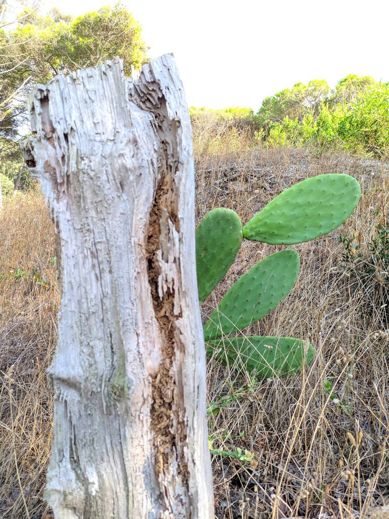 LAST SUMMER #109 - Limited Edition of 5 Photography by MASSIMO VARANO ...