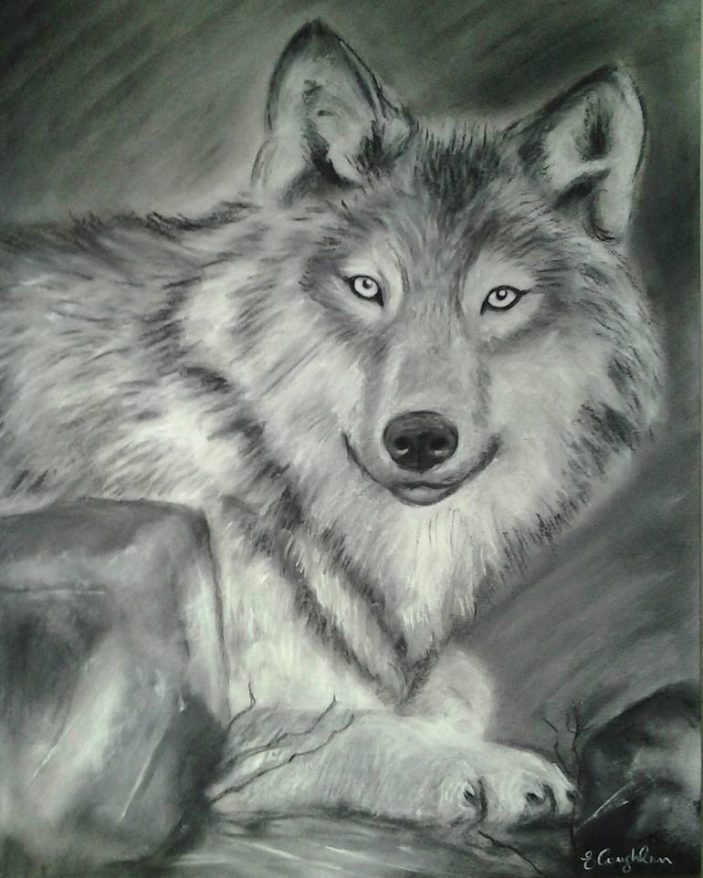 Wolf behind rocks Drawing by Elaine Coughlan | Saatchi Art
