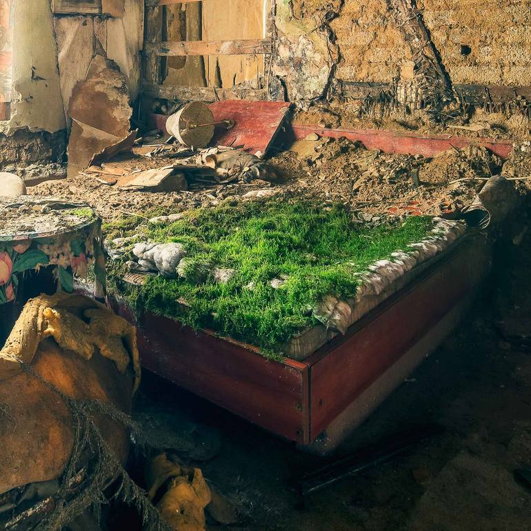 Hotel moss bed (large) - Limited Edition of 4 Photography by Michael ...
