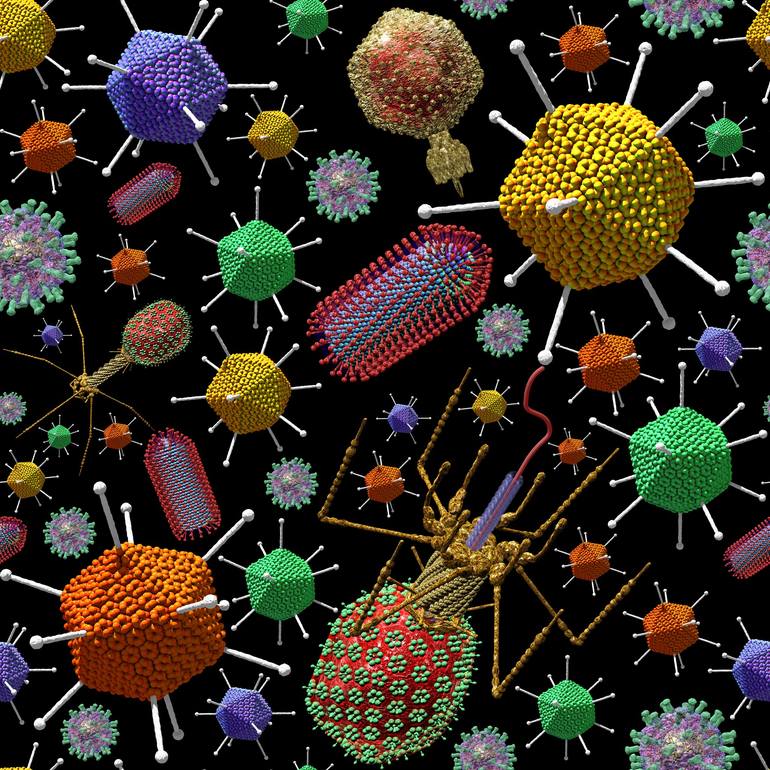 Virus Ocean Christmas Coloured Viruses Mixed Media by Russell Kightley ...