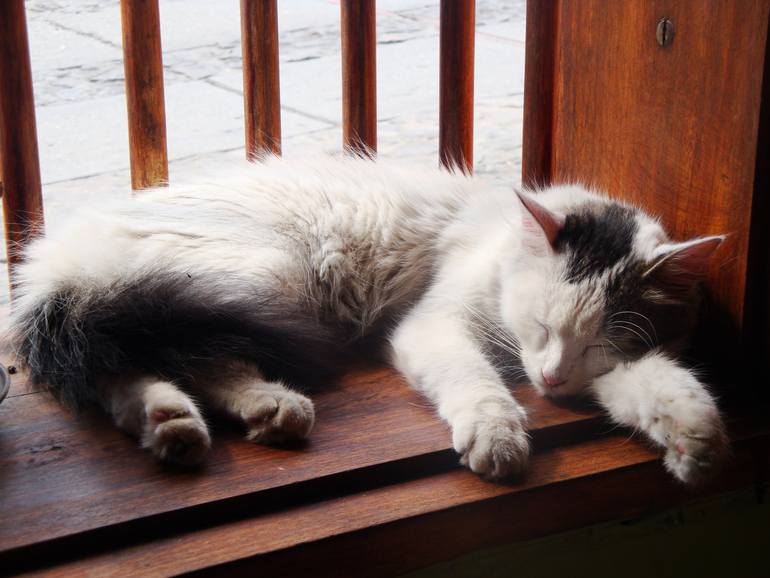 Atardecer explosivo / sunset explosive Painting by Cx A | Saatchi Art