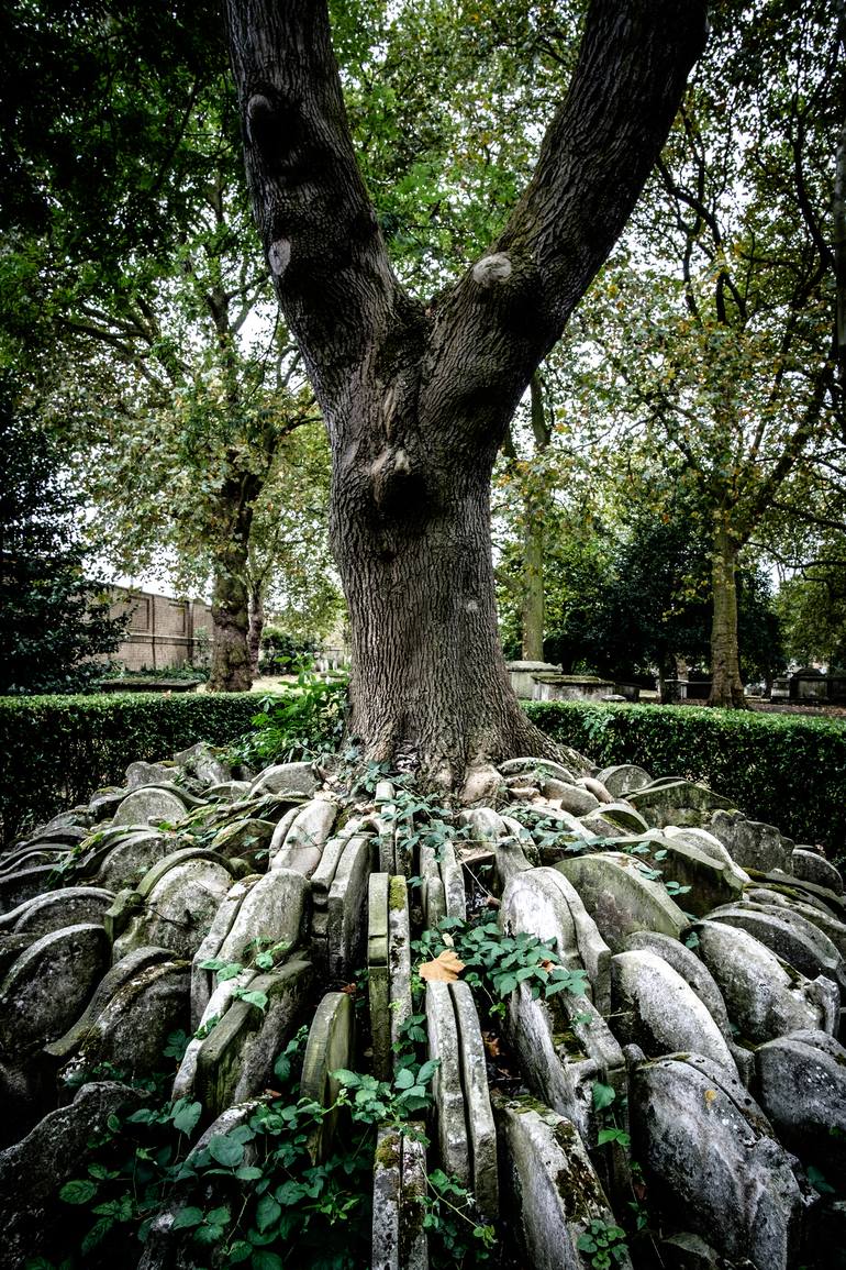 St Pancras Old Church, Limited Edition 1 of 5 Photography by Anthony ...