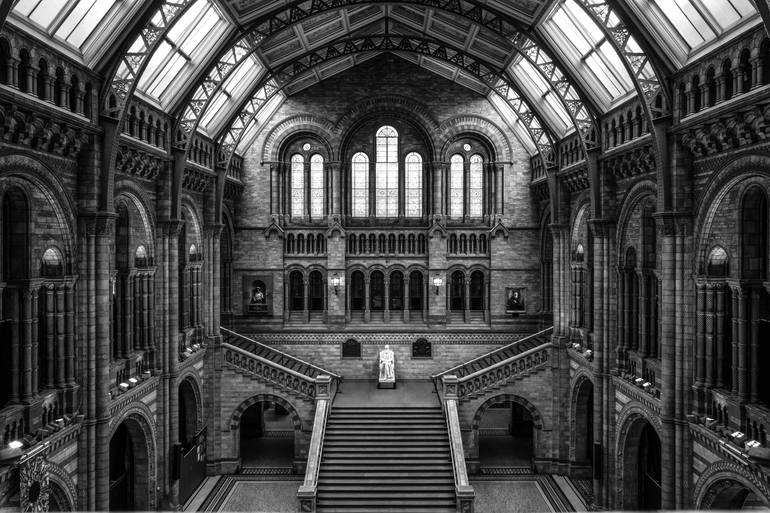 Natural History Museum, Limited Edition 1 of 5 Photography by Anthony ...