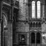 Natural History Museum, Limited Edition 1 of 5 Photography by Anthony ...