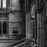 Natural History Museum, Limited Edition 1 of 5 Photography by Anthony ...