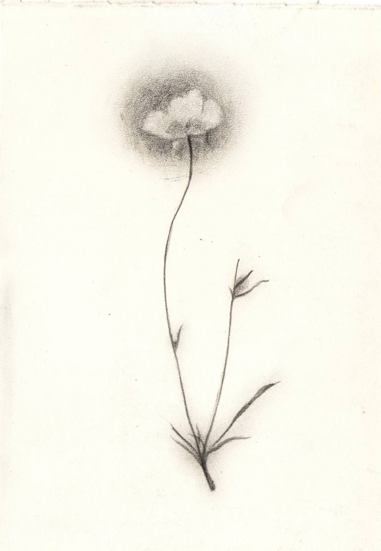 flower 6 Drawing by Liza Zemskova | Saatchi Art