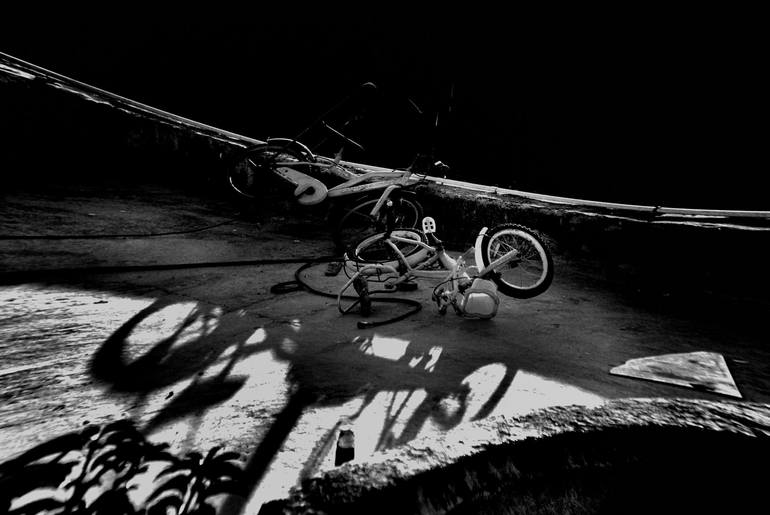 Life cycle - limited edition 2 of 5 Photography by Dev Banerjee ...