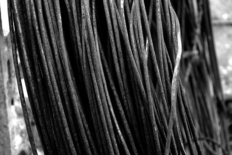 Wire transfer - limited edition 2 of 5 Photography by Dev Banerjee ...