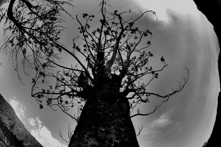 Eye in the sky - Limited Edition 2 of 5 Photography by Dev Banerjee ...