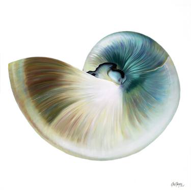 Clark Prosperi Artworks | Saatchi Art