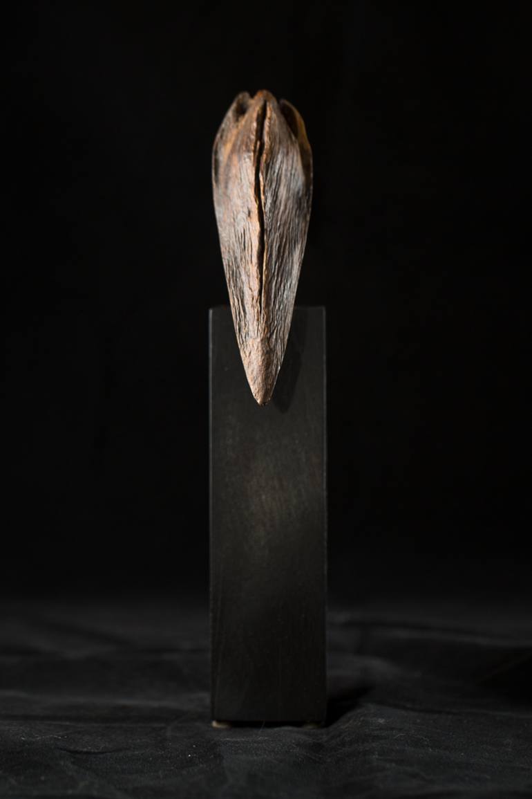 Woodpecker · Sculpture is made of the most expensive natural material ...