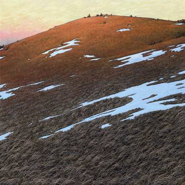 Oleh Dron | Saatchi Art