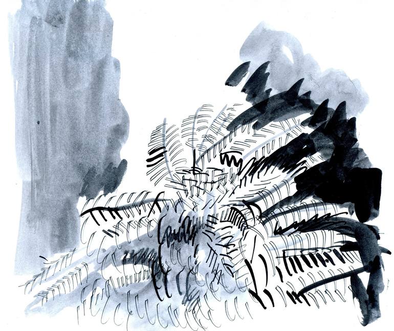 tree under my window Drawing by Razvan Bortea | Saatchi Art