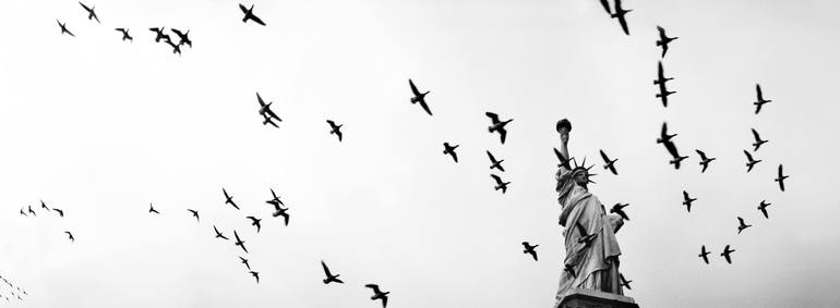THE STATUE OF LIBERTY AND FLYING GEESE - Limited Edition 25 Photography ...