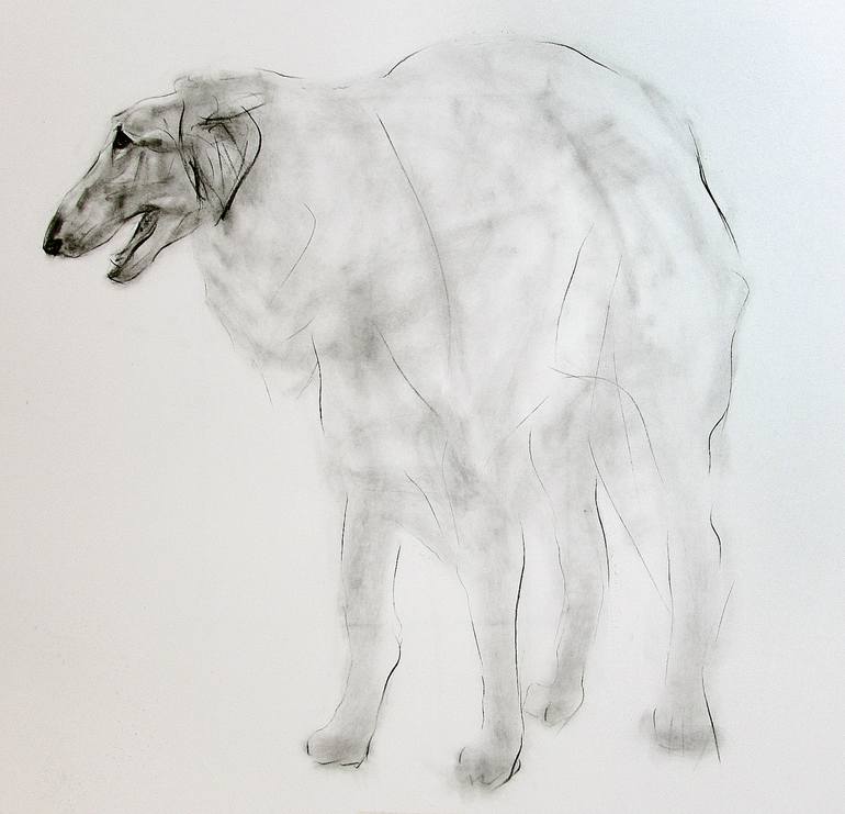Borzoi 5 Drawing by Nikita Maximchuk | Saatchi Art