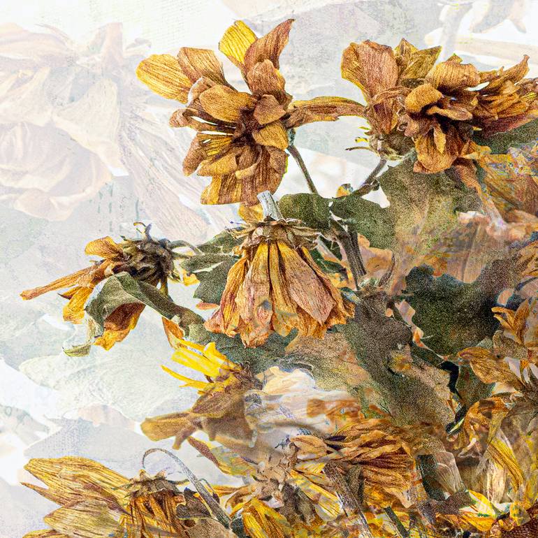 Flowers in a Jar - Limited Edition of 25 Photography by Michael Regnier ...