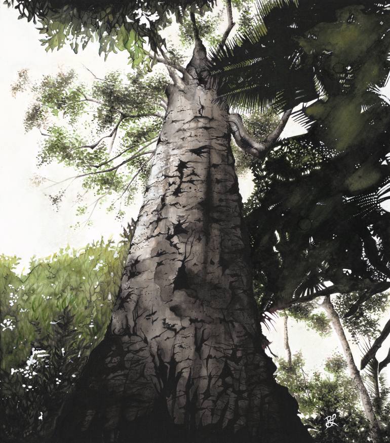 Under the Canopy - Limited Edition 3 of 300 Printmaking by Renee Lippa ...