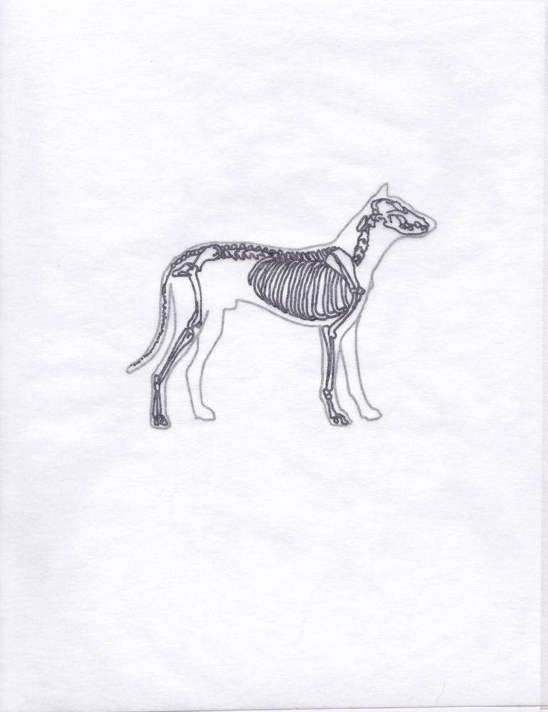dog profile Drawing by Ed de Ryk | Saatchi Art