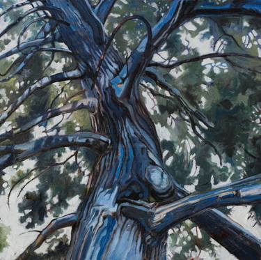 Sharon Feder | Saatchi Art